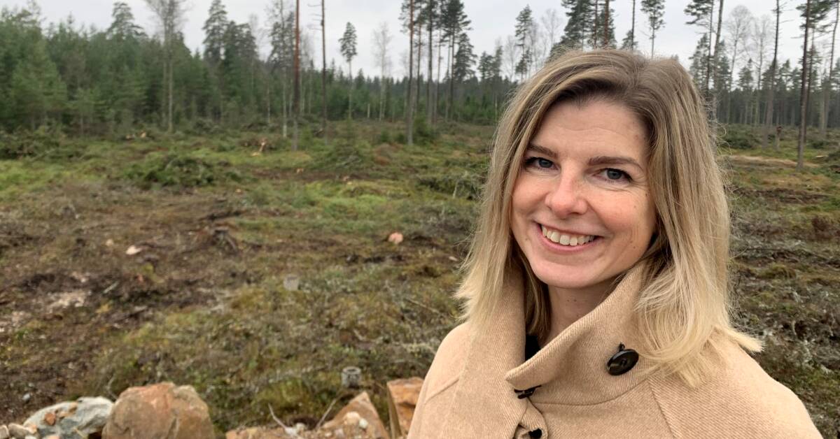 Minsta kommunen Ydre vill bygga den största solparken | SVT Nyheter