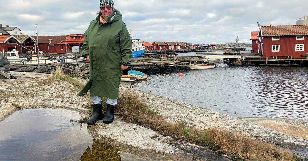 The islanders on Käringön dig new places for the beach toad - Teller Report
