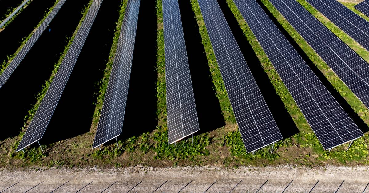 Solcellspark på 20 hektar planeras i Gislaved | SVT Nyheter