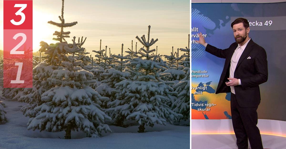 Kylan breder ut sig – finns hopp om vit jul i delar av landet | SVT Nyheter