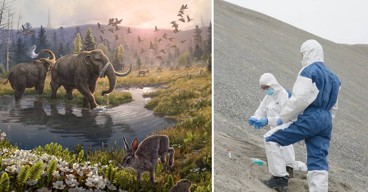 Här levde mastodonter för två miljoner år sedan | SVT Nyheter