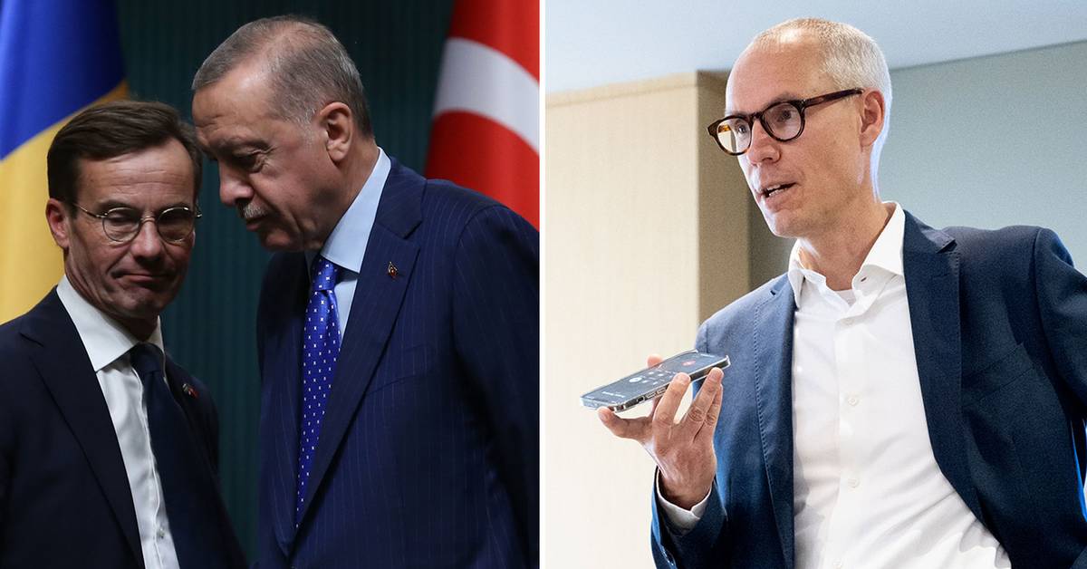 Stenström om okända Nato-listan: Har inte skickat hemligstämplade ...