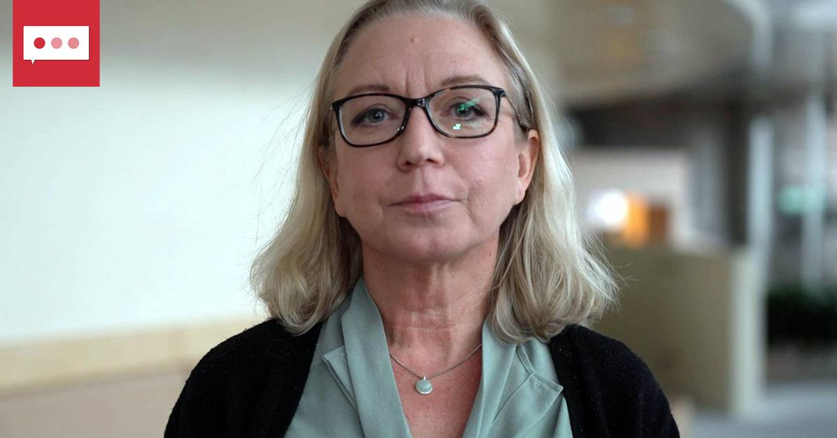 Elisabeth Marmorstein: Så profilerar sig Sverigedemokraterna i ...