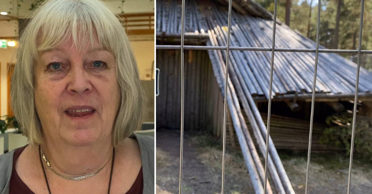 Namninsamling för Gene fornby – Örnsköldsviks kommun utreder | SVT Nyheter