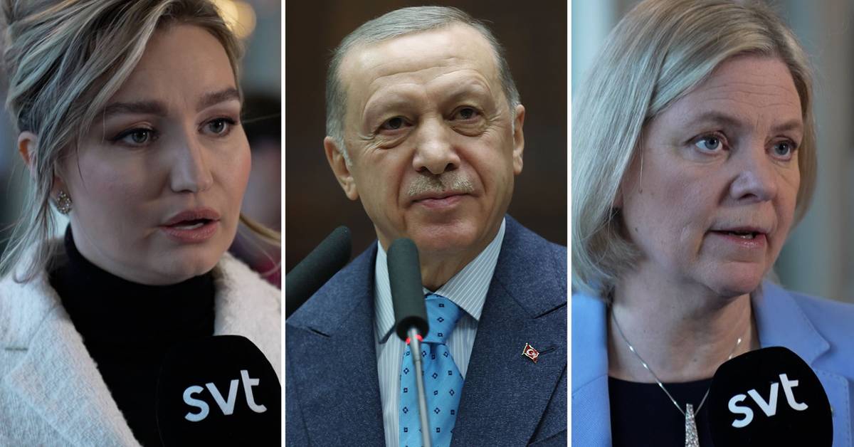 Partiledarna: Så har regeringen hanterat Erdogan i Nato-frågan | SVT ...