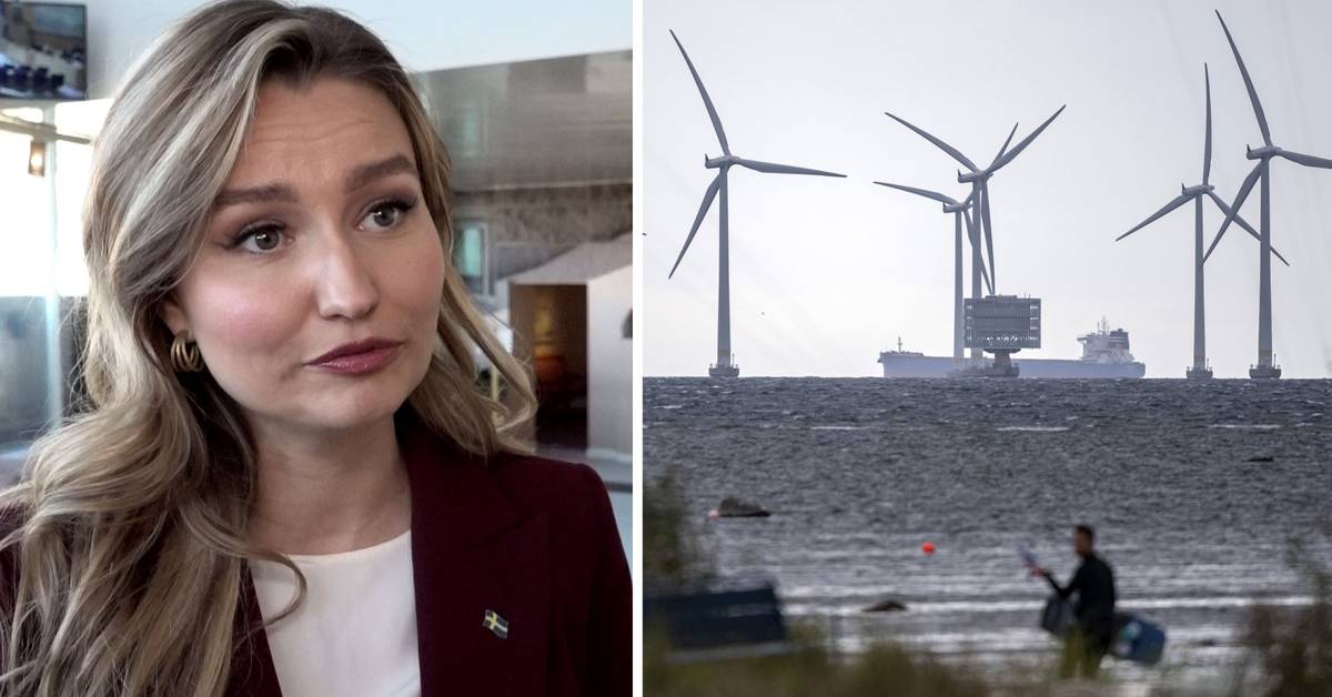 Regeringen vill snabba på vindkraft till havs | SVT Nyheter