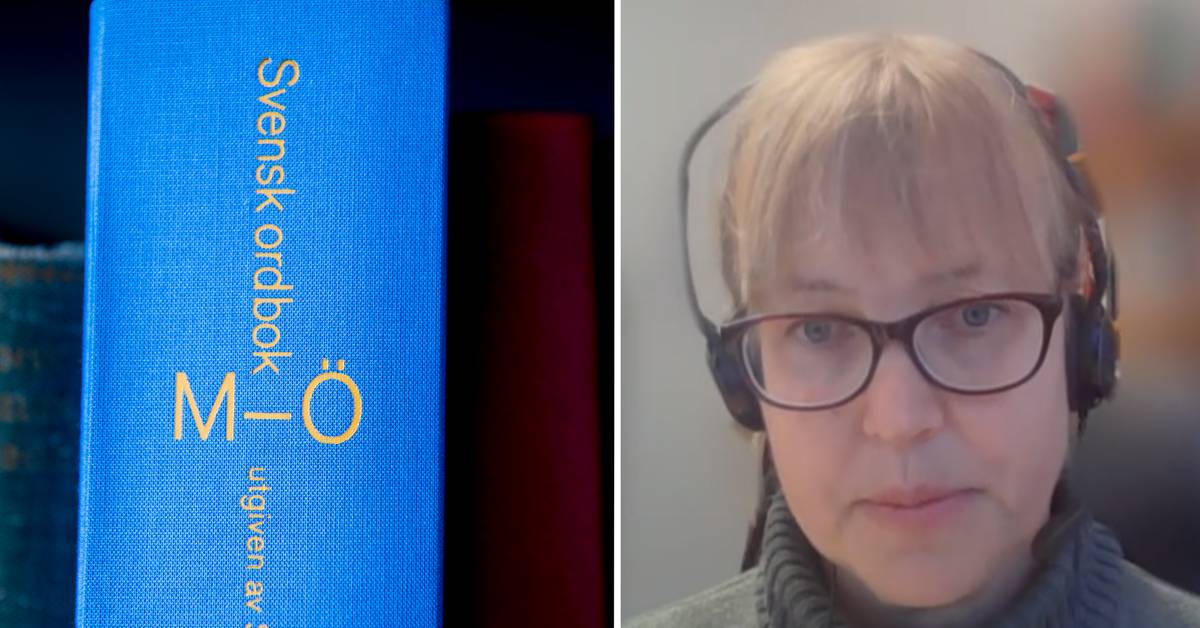 Svensk ordbok ser över definitionen av ordet snippa | SVT Nyheter