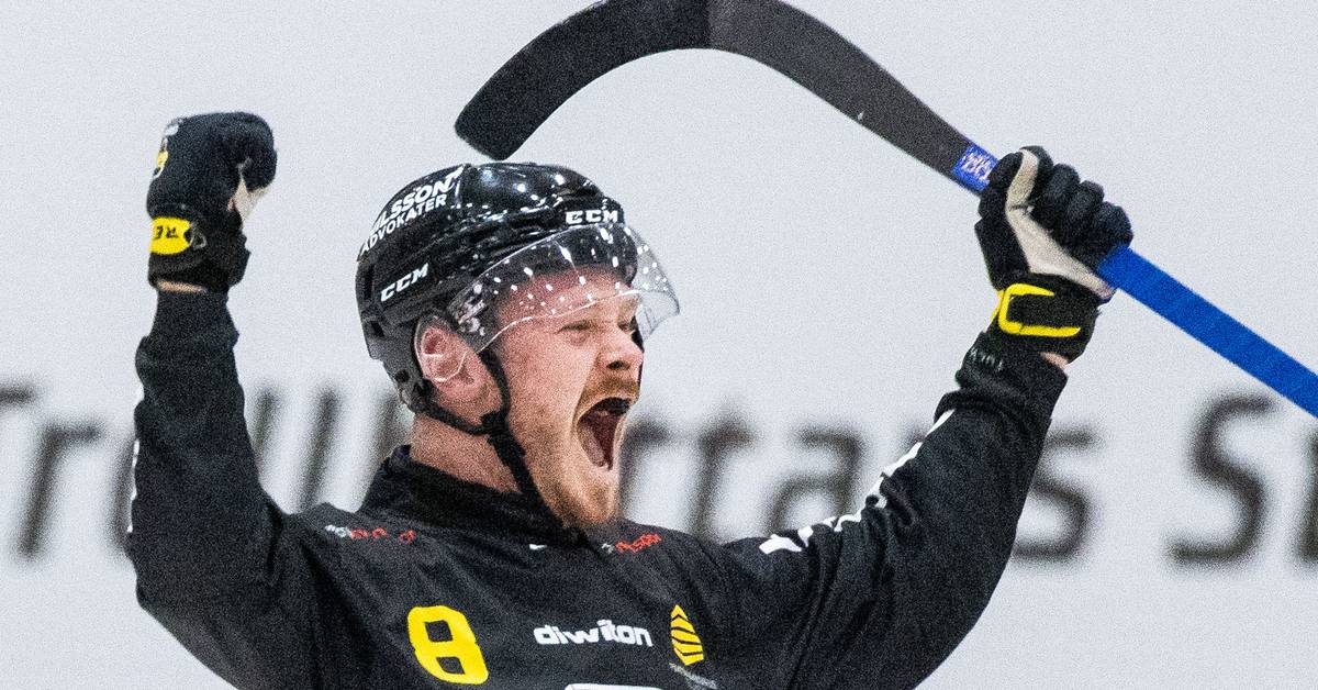 Gripen klart för elitserien i bandy – med en omgång kvar av kvalspelet ...