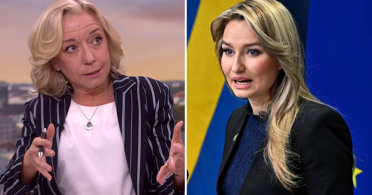 SVT:s Elisabeth Marmorstein om elstödet: ”Stormen inte över men den har ...