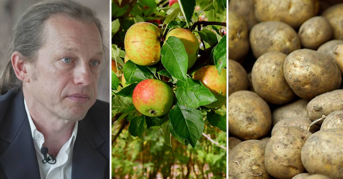 Hjärnstörande bekämpningsmedel i odling av potatis, lök och äpplen ...