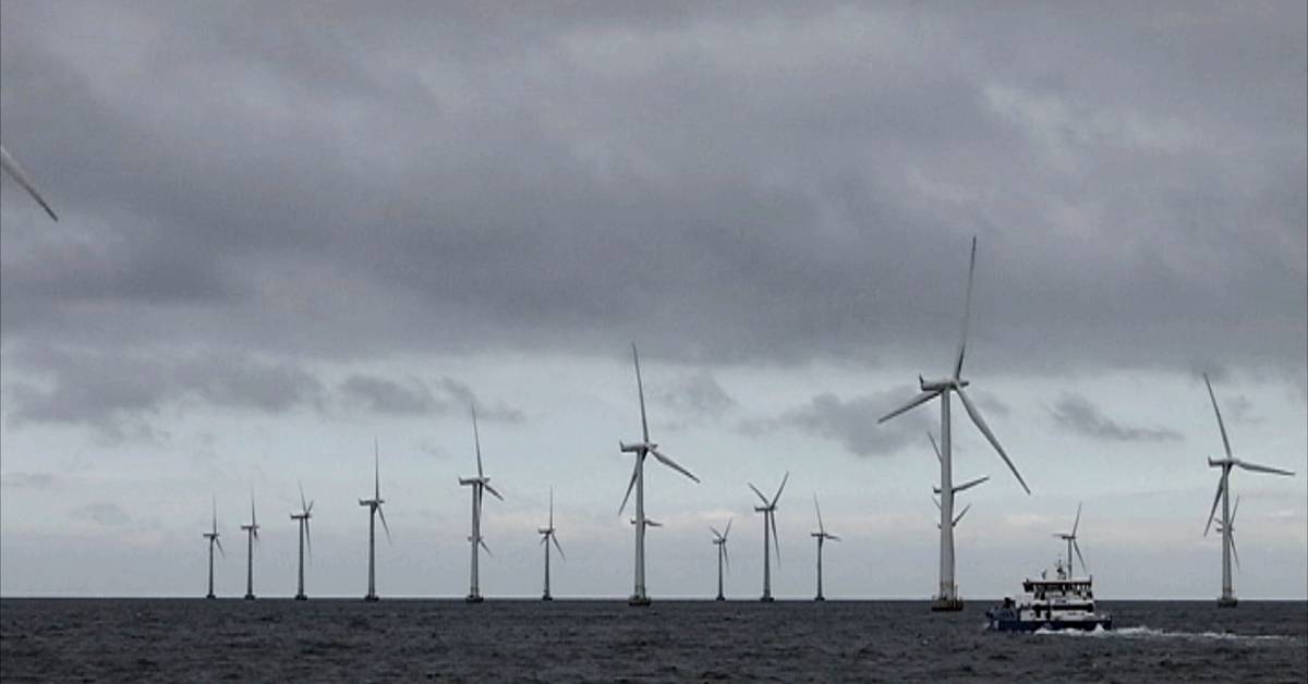 Vindkraftparken Kattegatt syd utanför Falkenberg kan få Natura 2000 ...
