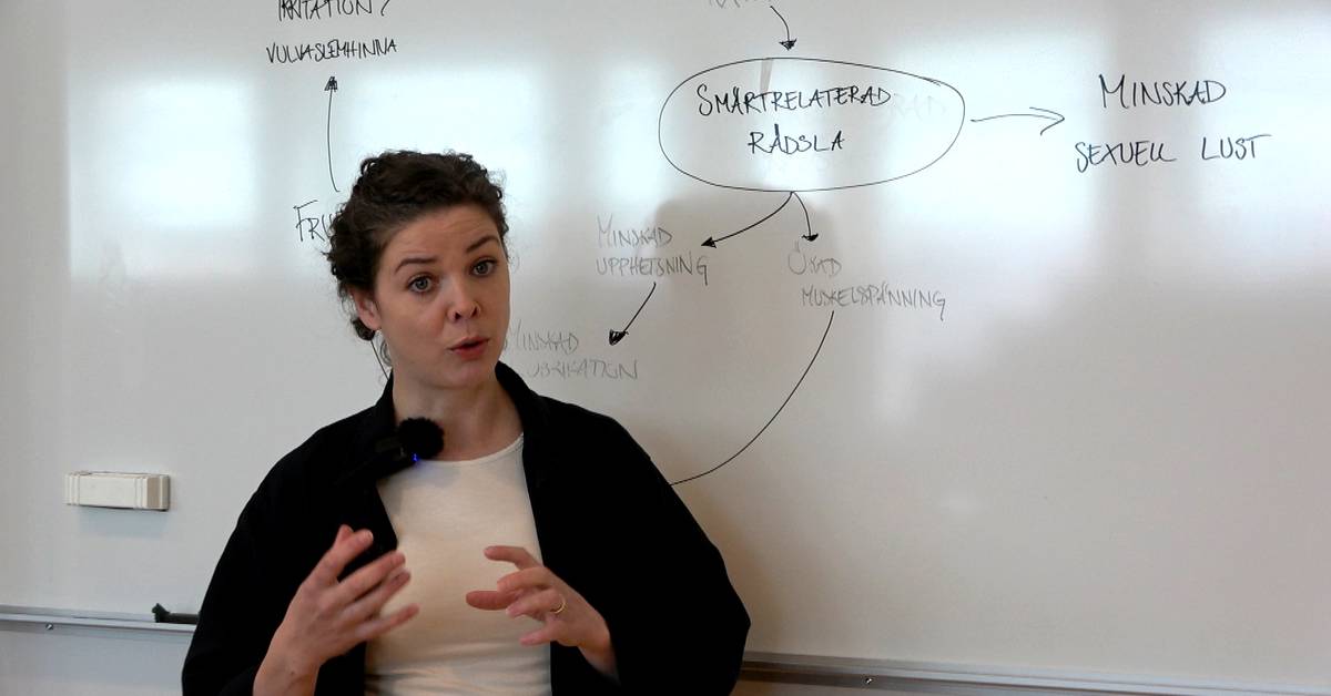 Elin Ekholm från Karlstad forskar om behandling mot långvarig ...