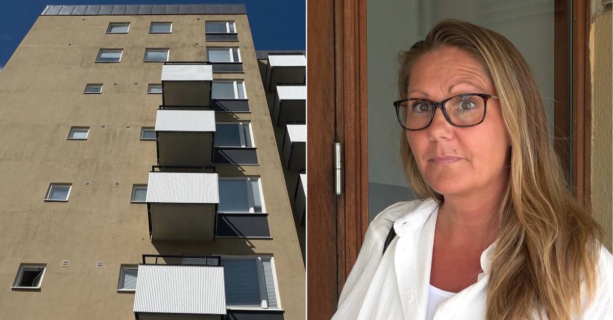 Ett besökarinlägg i "Förlorat miljoner på tomma studentlägenheter – här ...