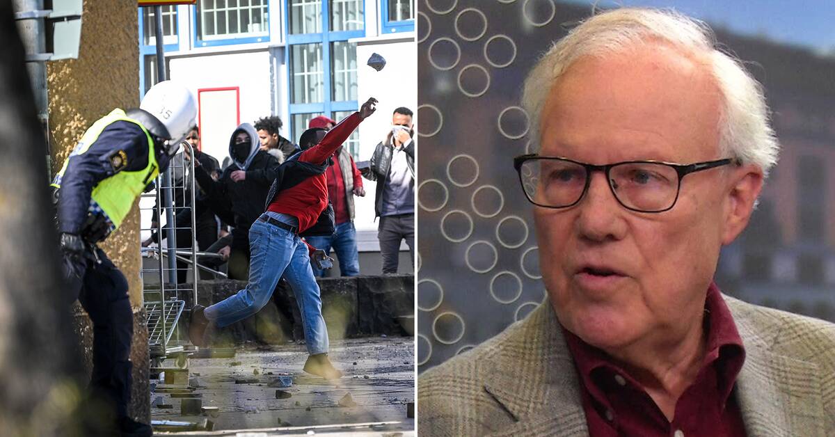 Folkrättsexperten Ove Bring Lagen Om Hets Mot Folkgrupp Borde ändrats