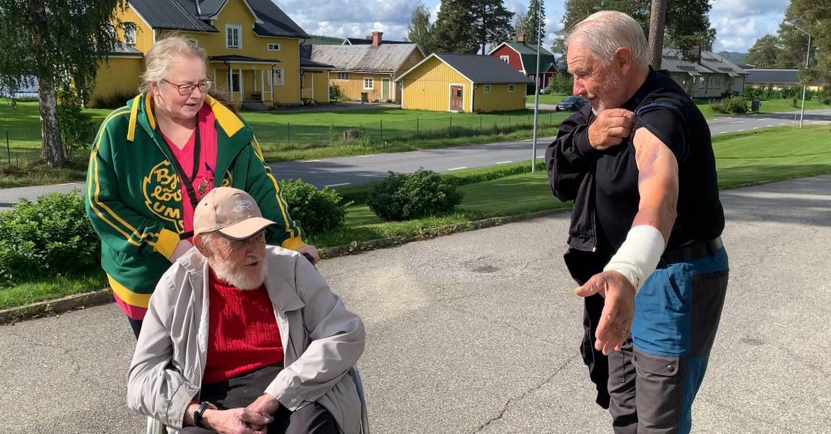 Ingvar i Backe blev attackerad av en björn: ”Jag såg ett stort gap ...