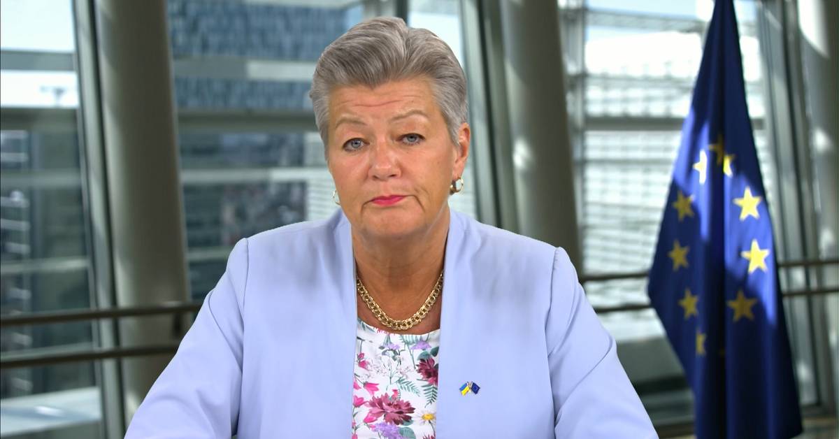 Ylva Johansson om fängslade Johan Floderus: ”Blev oerhört rädd” | SVT ...