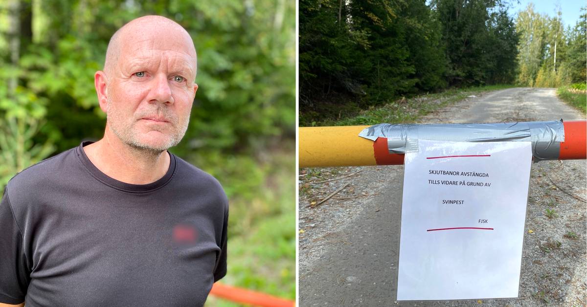 Jägaren Pelle tog prov från smittade vildsvinet i Fagersta – pestsvaret kom som en chock | SVT ...