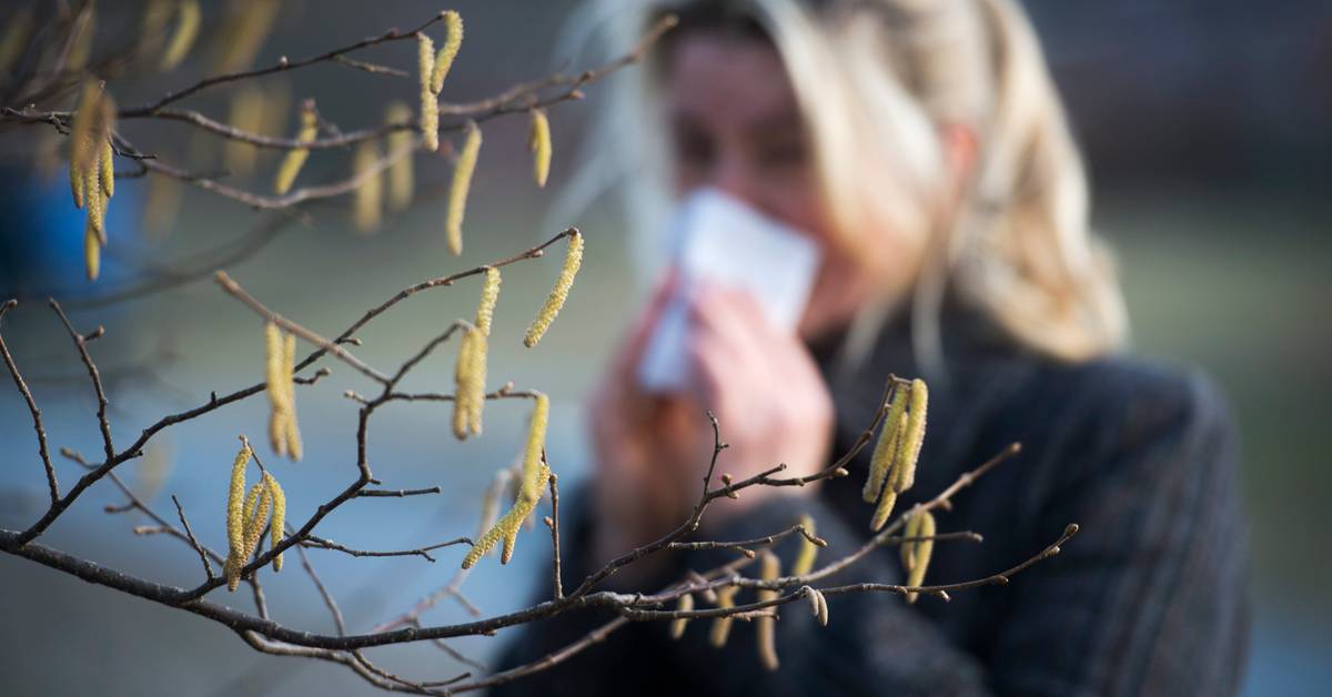 Pollensäsongen är här | SVT Nyheter