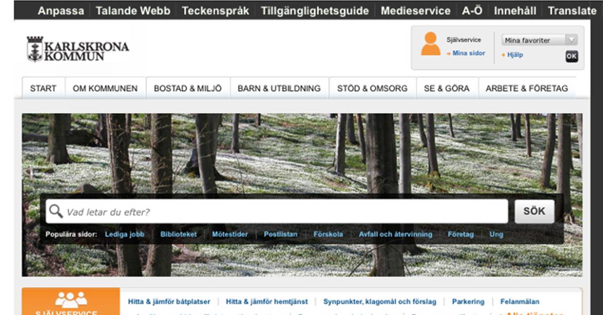 Hemsidan ligger nere i helgen | SVT Nyheter