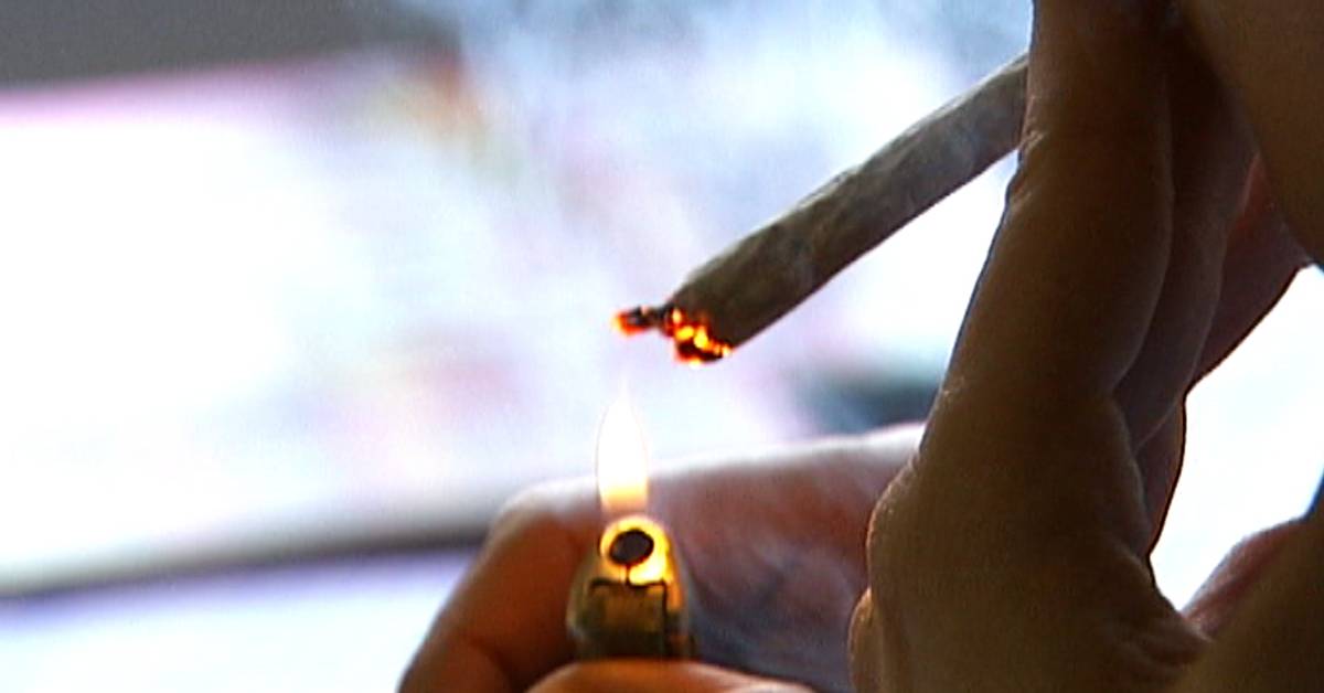 Hanterade 100 kilo cannabis | SVT Nyheter