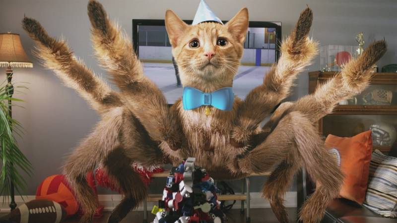 Ett fall för KLURO – 39. En ny Fröken O, del 1:2 | SVT Play