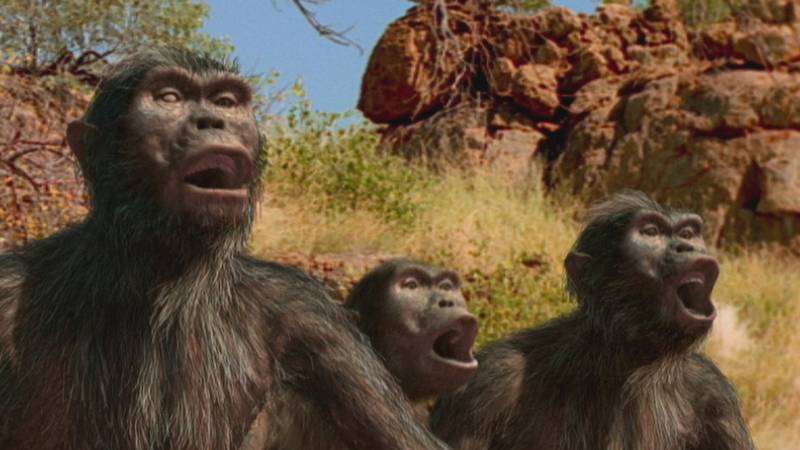 Andys förhistoriska äventyr – Australopithecus och håret | SVT Play