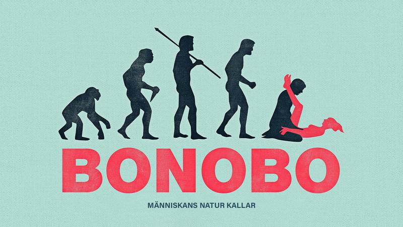 Bonobo | SVT Play