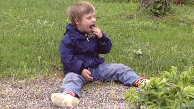 Joelbitar – 5. Plockar sniglar och äter gräs | SVT Play