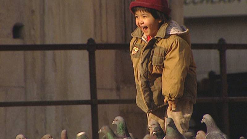 Solens mat – Avsnitt 4 | SVT Play