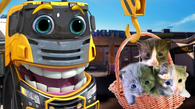 Bilakuten – Kattastrofen | SVT Play