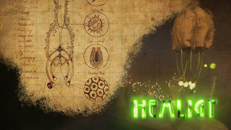 Fakta: Mer Labyrint – Avsnitt 9 | SVT Play