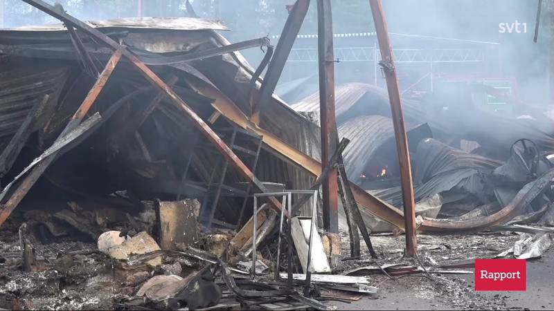 Rapport – Avsnitt 308 | SVT Play