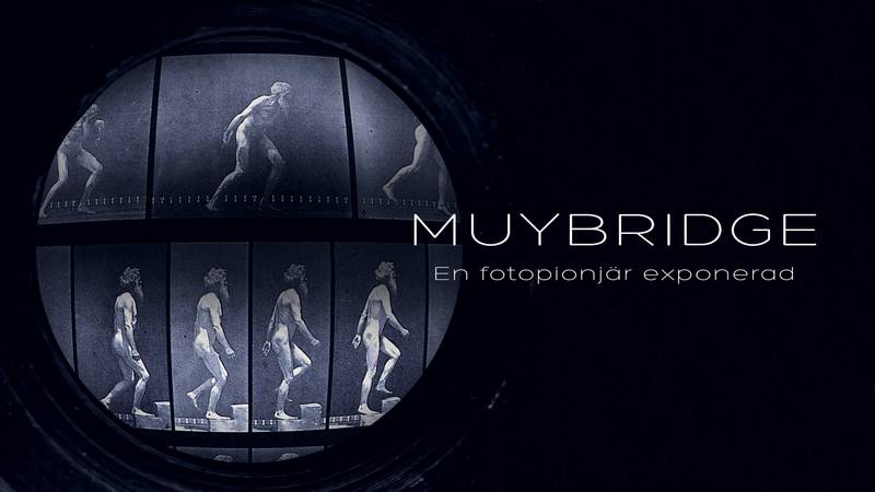 Muybridge - en fotopionjär exponerad | SVT Play