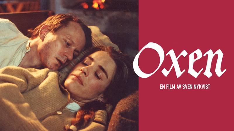 Oxen | SVT Play
