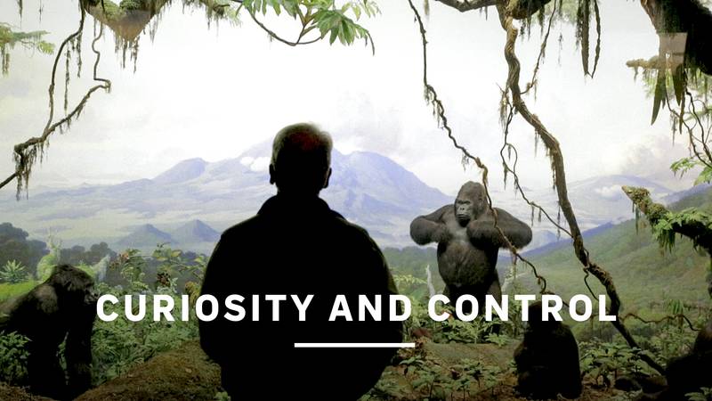 Curiosity and control | SVT Play