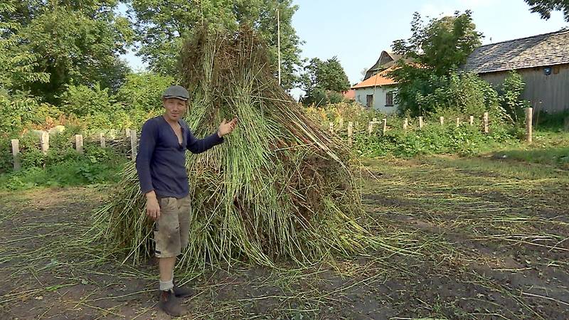 Hundra procent bonde – Avsnitt 7 | SVT Play