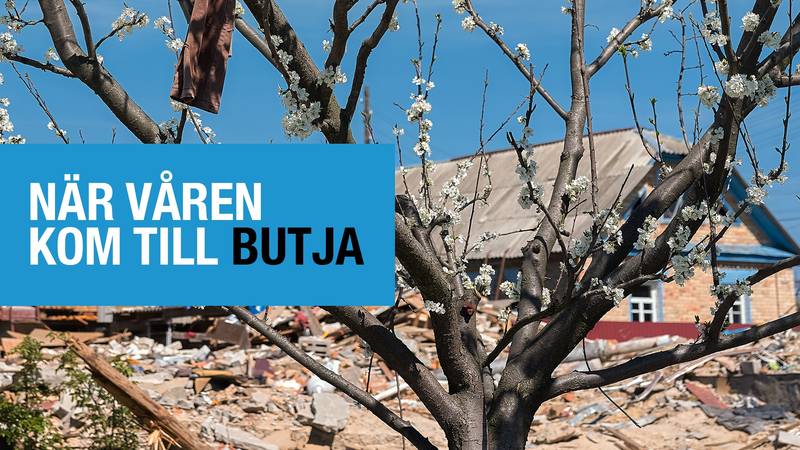 När våren kom till Butja | SVT Play
