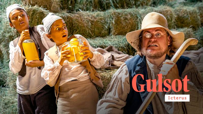 Världens hemskaste sjukdomar – Gulsot | SVT Play