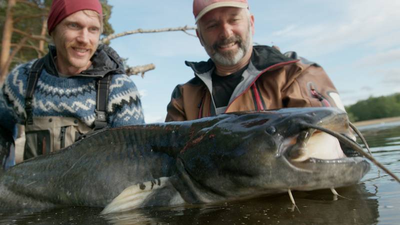 Fiskarnas rike – 7. Fiskforskarna | SVT Play