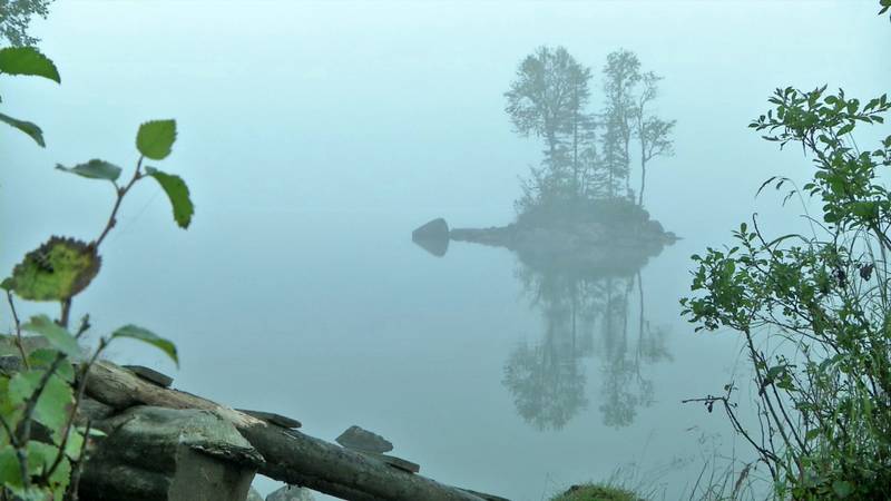 Glimt av Norge – Vildmark runt hörnet | SVT Play