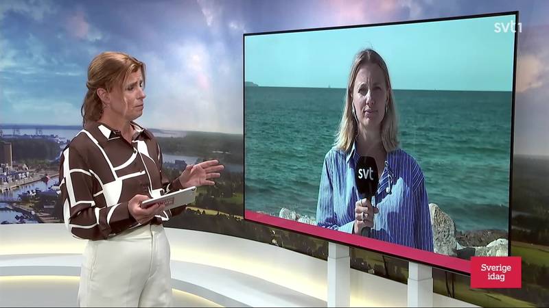 Sverige idag – Avsnitt 1 | SVT Play