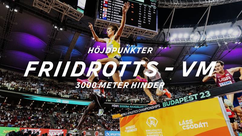 Friidrott: Höjdpunkter – Friidrotts-VM: Simon Sundström - 3000 meter ...