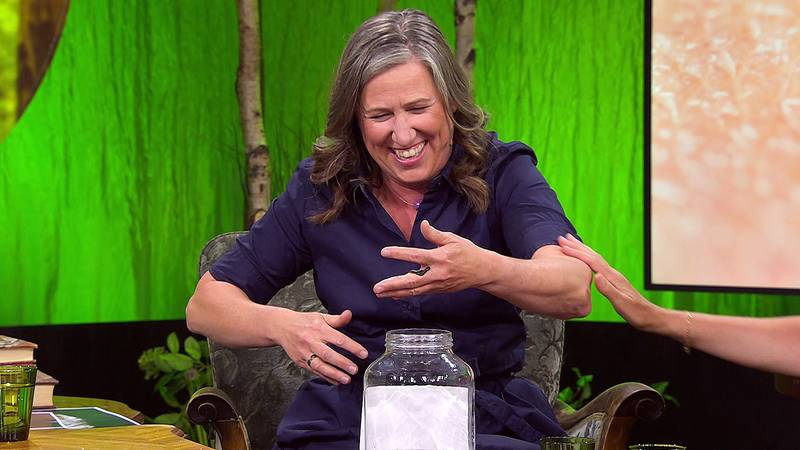 Studio natur – Blodsugare | SVT Play