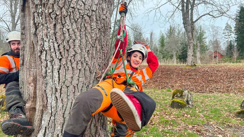 Plan B – 5. Arborist - Gäst Amanda Winberg | SVT Play