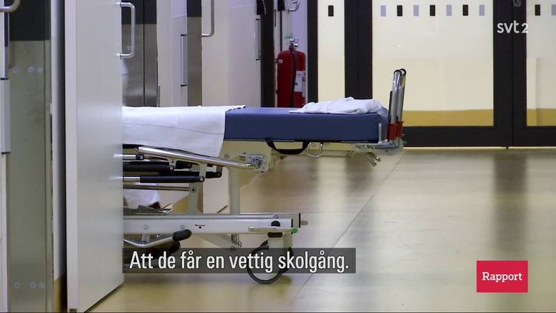Rapport – Avsnitt 240 | SVT Play