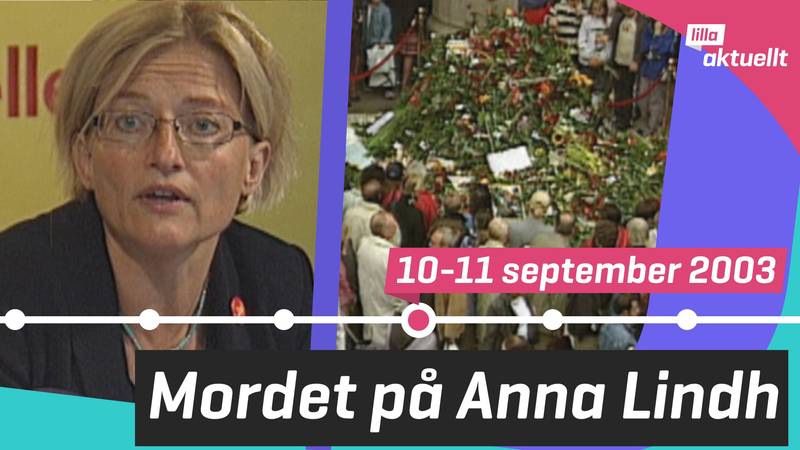 Lilla Aktuellt & Lilla Aktuellt skola – Mordet på Anna Lindh | SVT Play