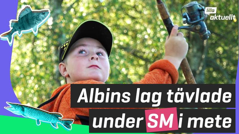 Lilla Aktuellt & Lilla Aktuellt skola – SM i mete - här fiskar 10 åriga ...