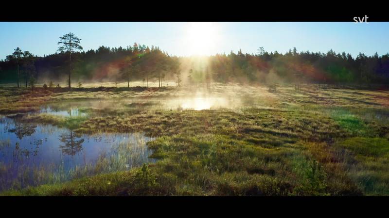 Fiskarnas rike – 1. Naturfilmare på väg | SVT Play