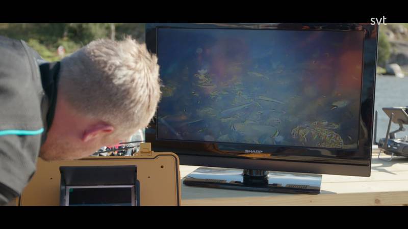 Fiskarnas rike – 5. Svåra hav | SVT Play