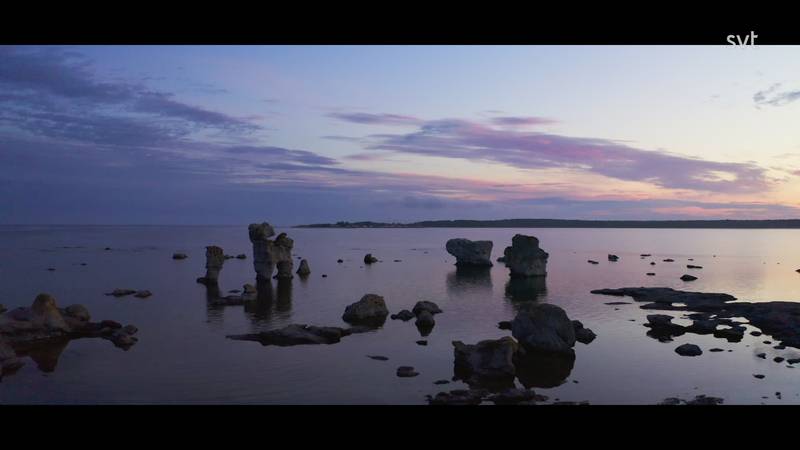 Fiskarnas rike – 3. Nordens pingviner | SVT Play